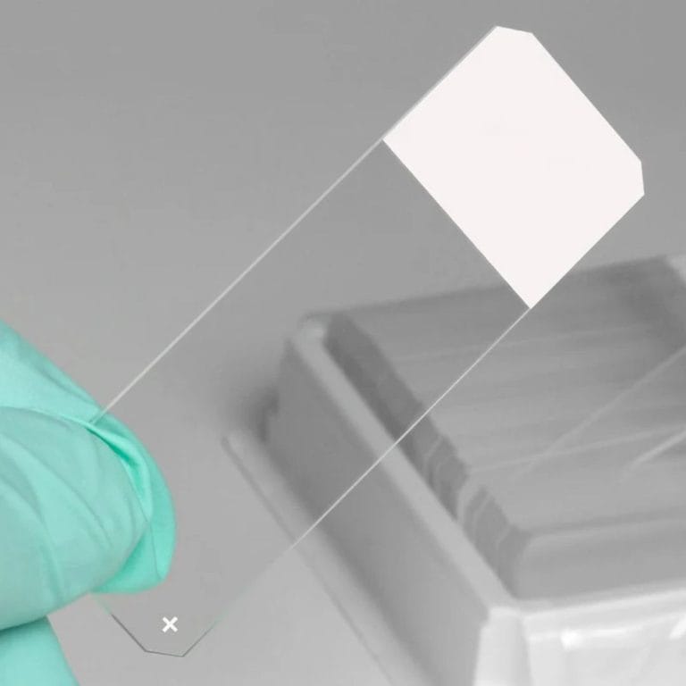 Charged ¾ White Glass Slides - Pathology Service Inc.